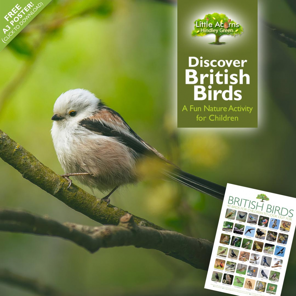 The Early Years Foundation Stage (EYFS): a Quick Guide