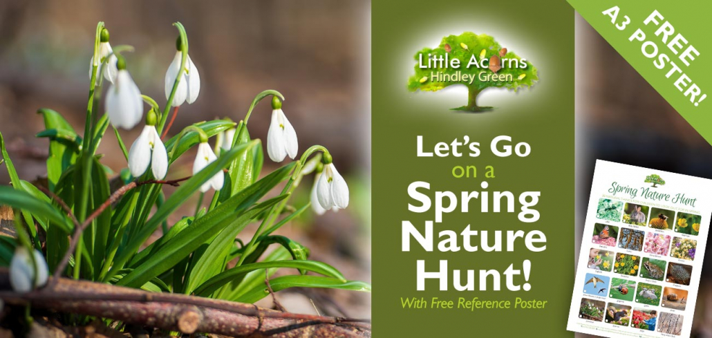 Let's Go on a Spring Nature Hunt – With Free Reference Poster!